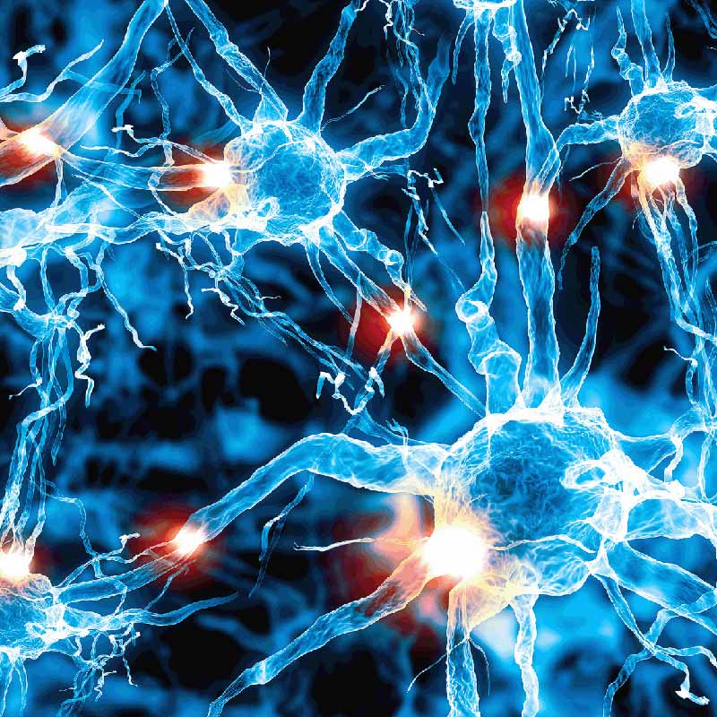 2019 NCCPA PANCE Content Blueprint Updates | The Physician Assistant Life