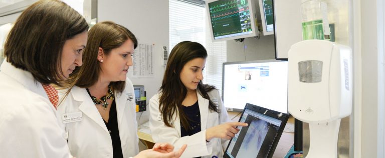 Physician Assistant Student: The Ultimate Resource | The Physician ...